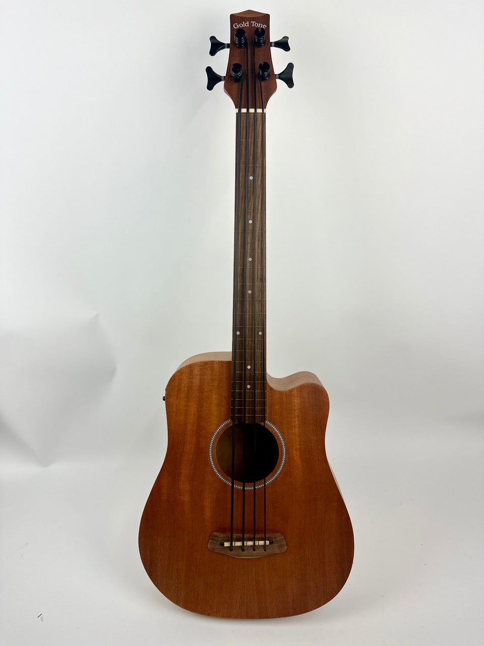 Gold Tone Fretless 25 Micro Bass – Fiddler's Green Music Shop