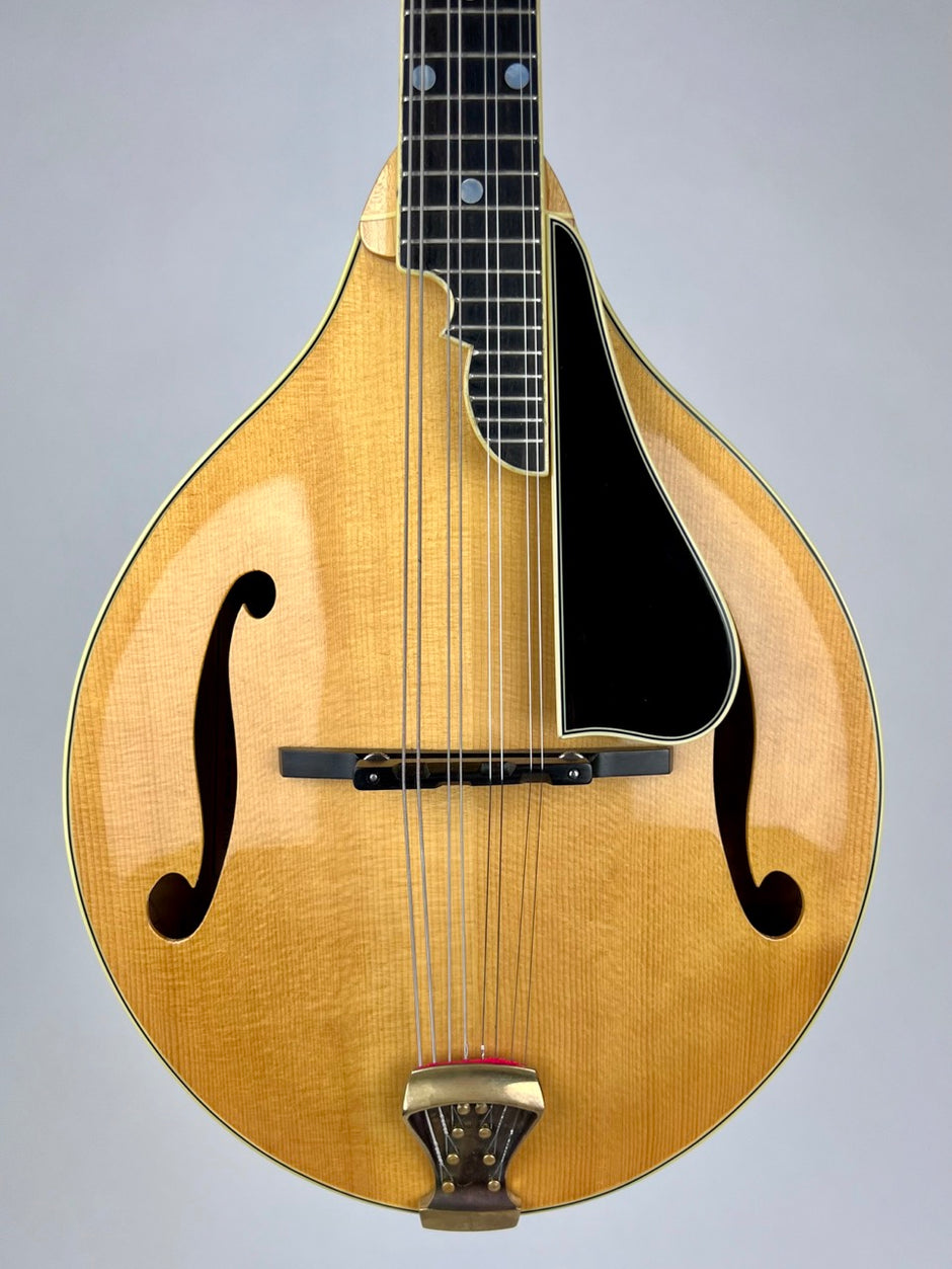 Fiddler’s Green Music Shop – Fiddler's Green Music Shop