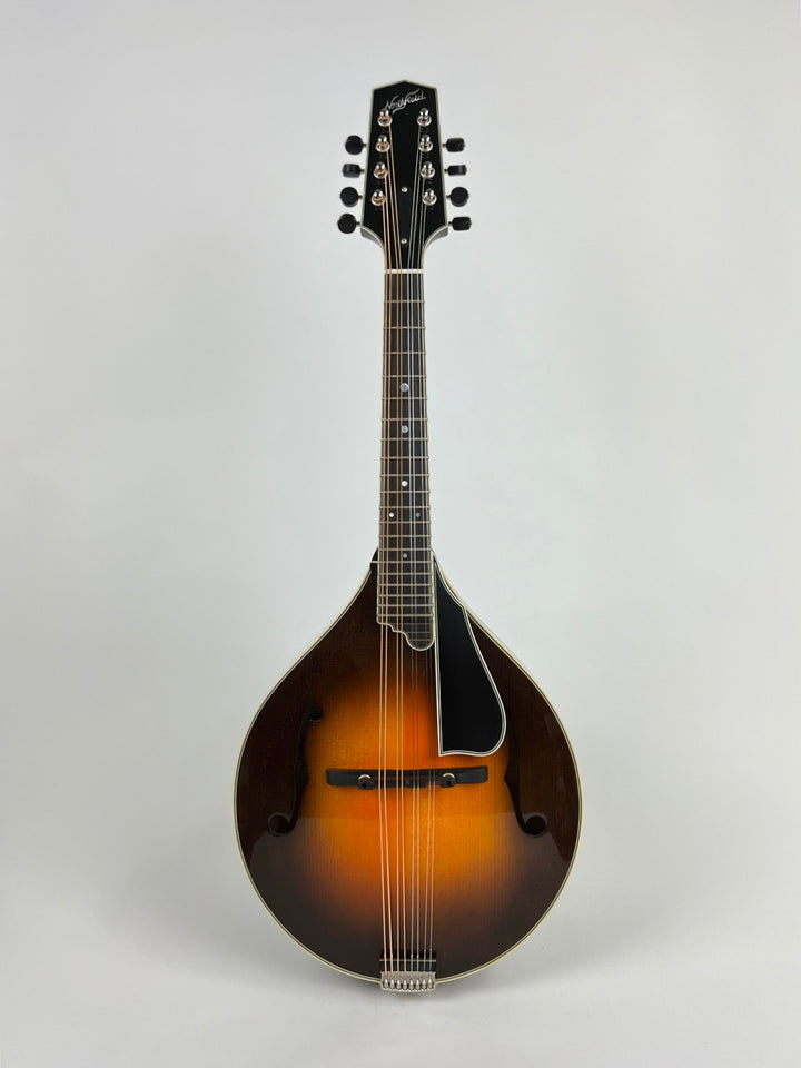 Mandolins – Fiddler's Green Music Shop