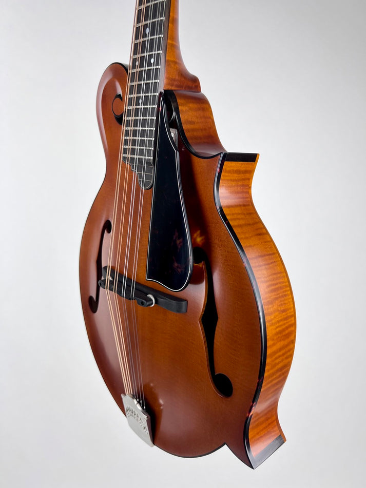 Northfield F5S - Amber/Engelmann – Fiddler's Green Music Shop