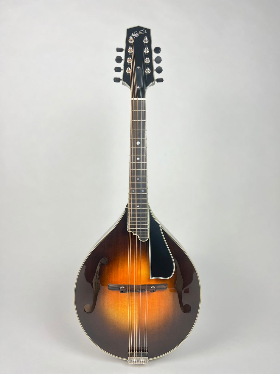 Mandolins – Fiddler's Green Music Shop