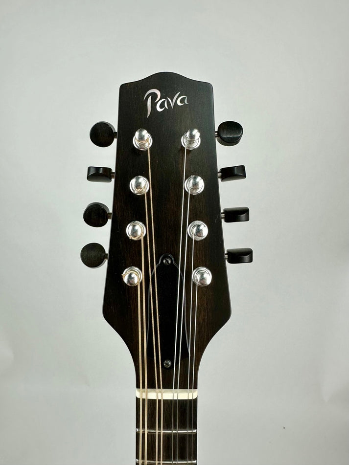 Pava A5 Satin - Wide Nut w/upgrades – Fiddler's Green Music Shop