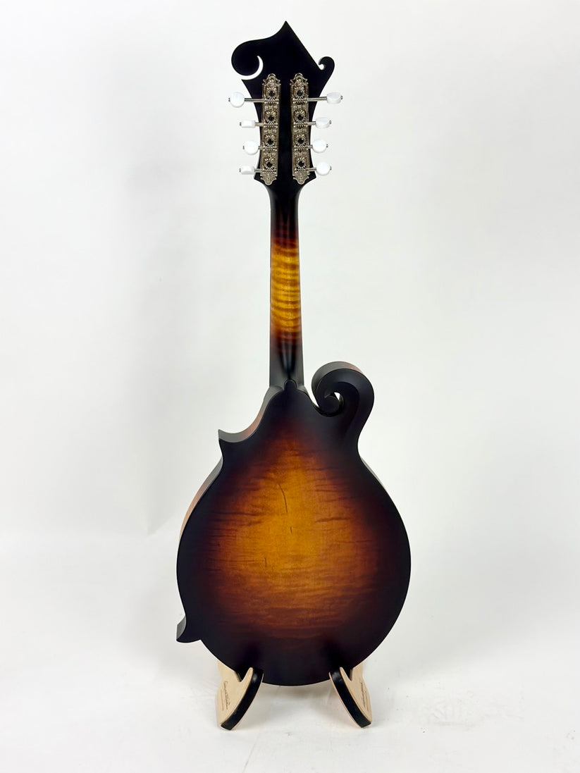 Pava F5 Satin – Fiddler's Green Music Shop