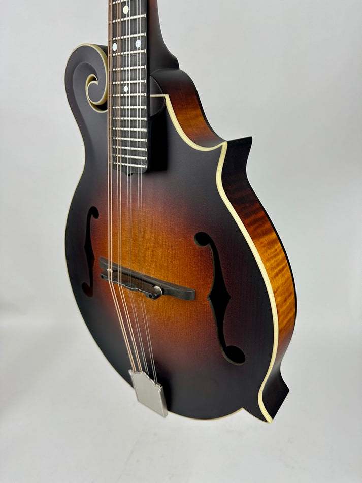 Pava F5 Satin – Fiddler's Green Music Shop