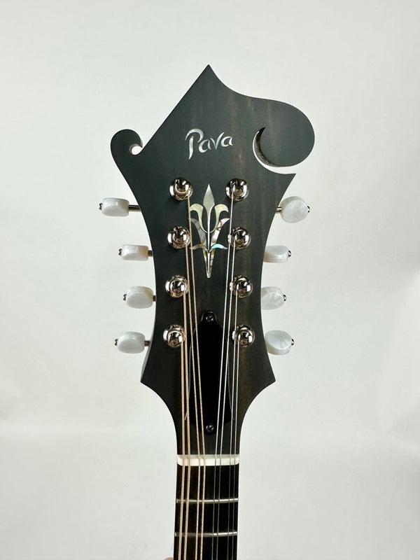 Pava F5 Satin – Fiddler's Green Music Shop
