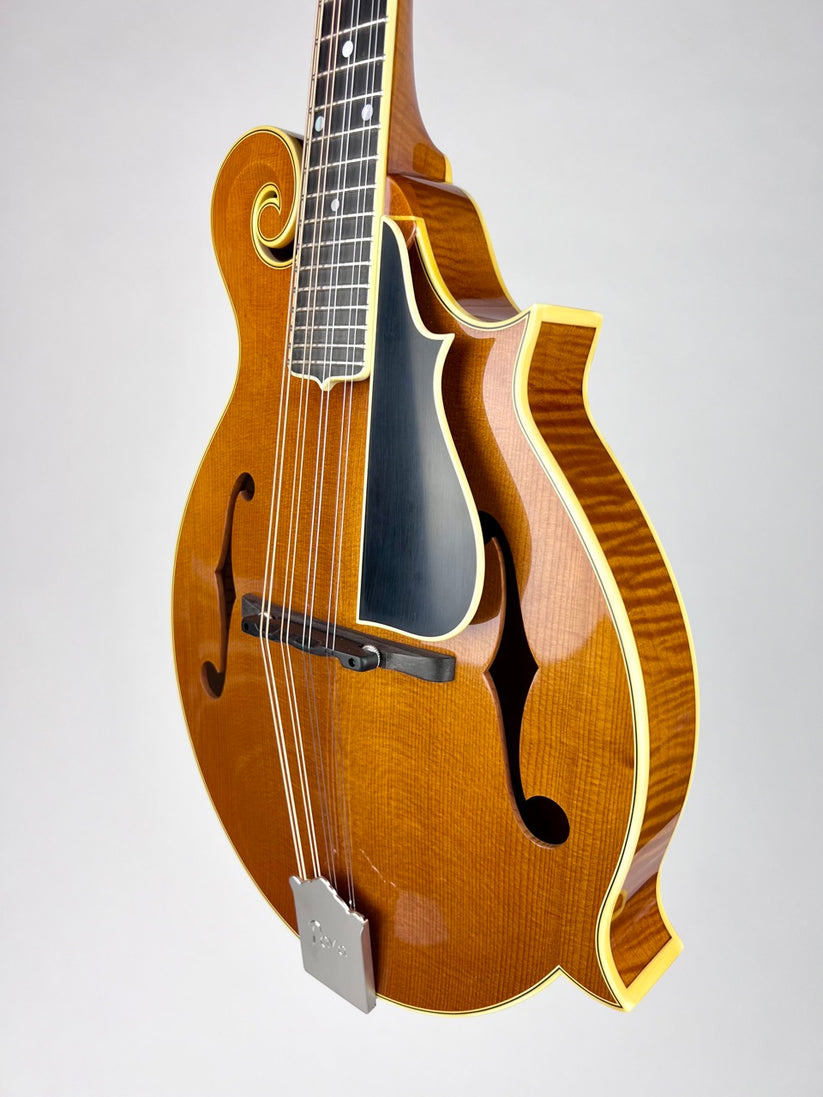 Pava Pro F5 – Fiddler's Green Music Shop